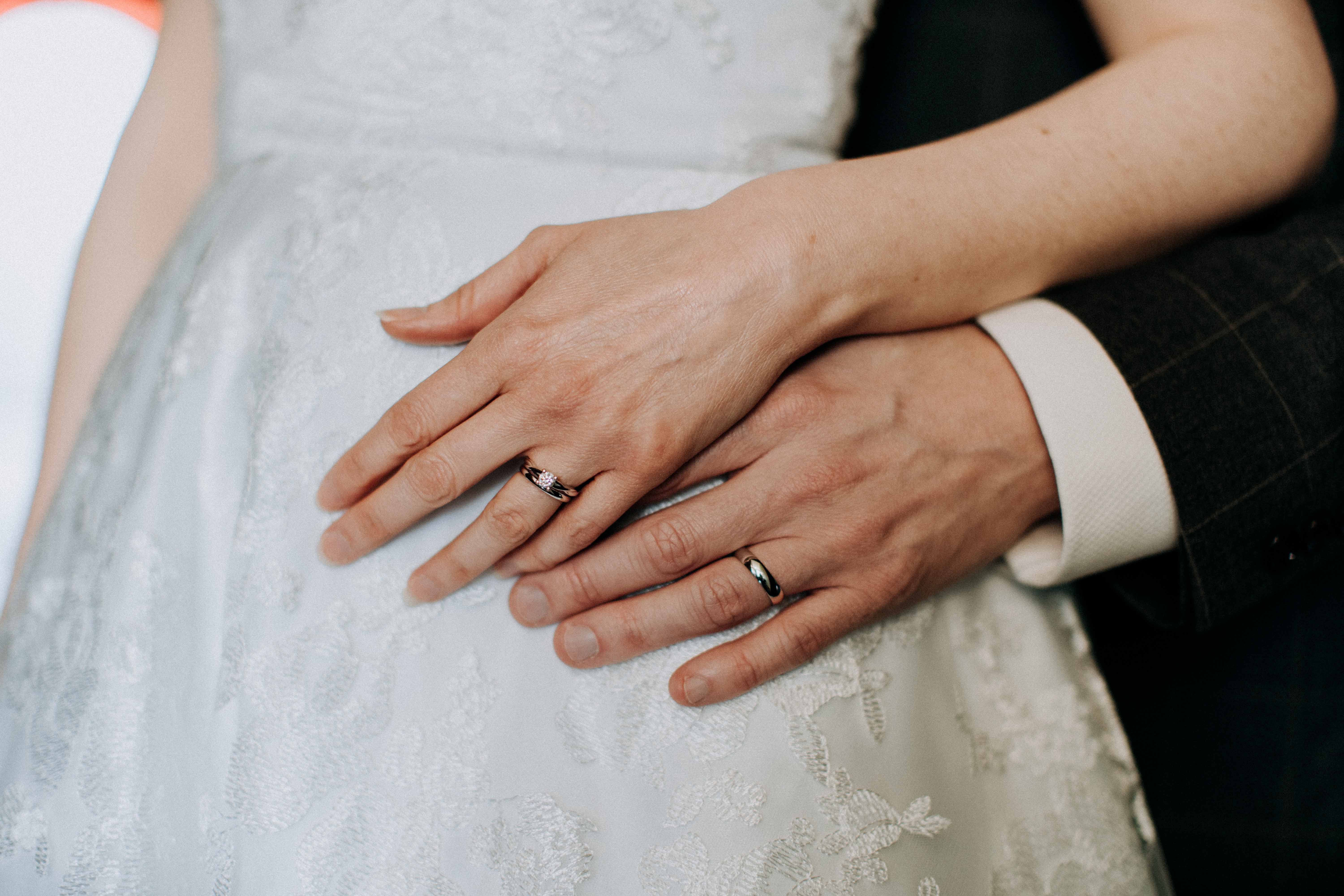 The Green Heart of Pembrokeshire | Scolton Manor Park